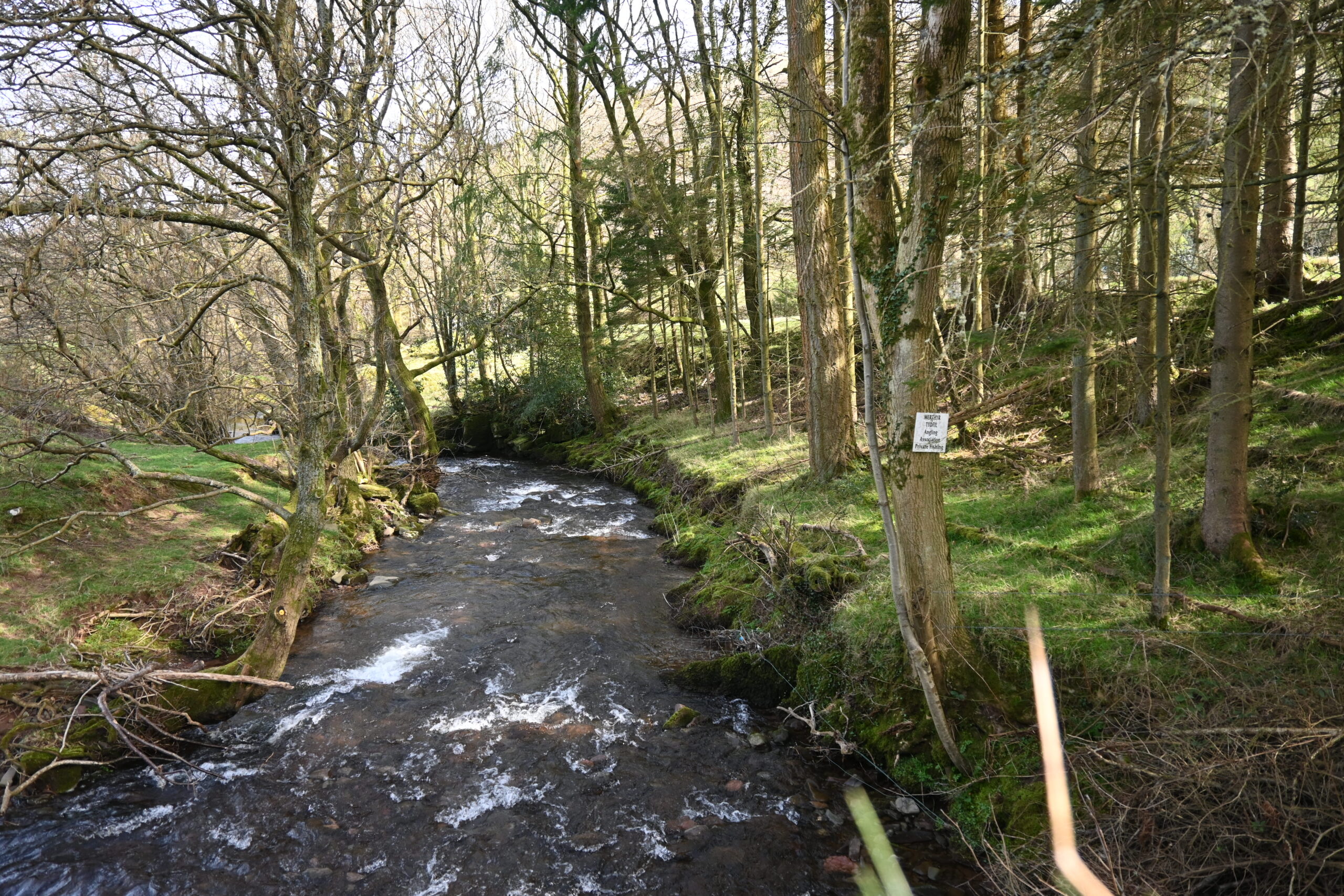 River Tarell - Merthyr Tydfil Angling Alliance